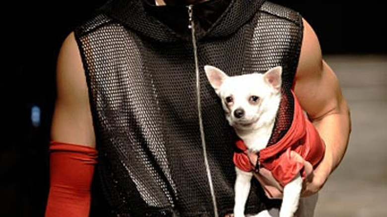 Benan Bal'dan özgür ve dinamik tasarımlar